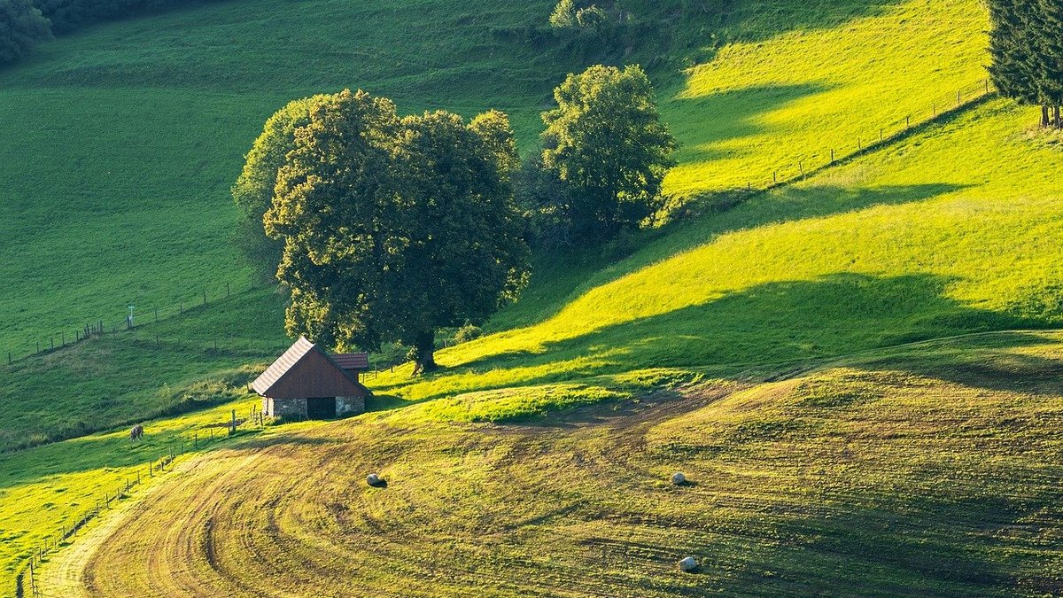 JPMorgan's Chief US Economist Predicts 2025 Recession, Citing 'Weight ...